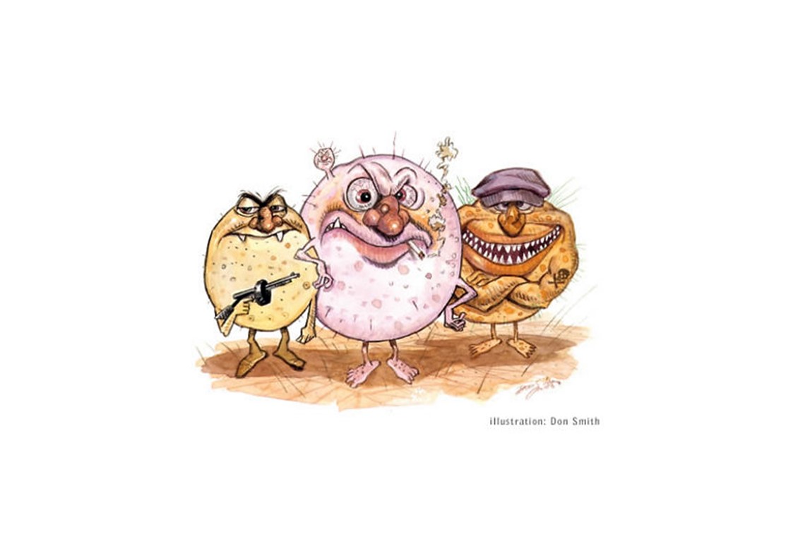 CM Bactério médicale | Moodle - Lyon1